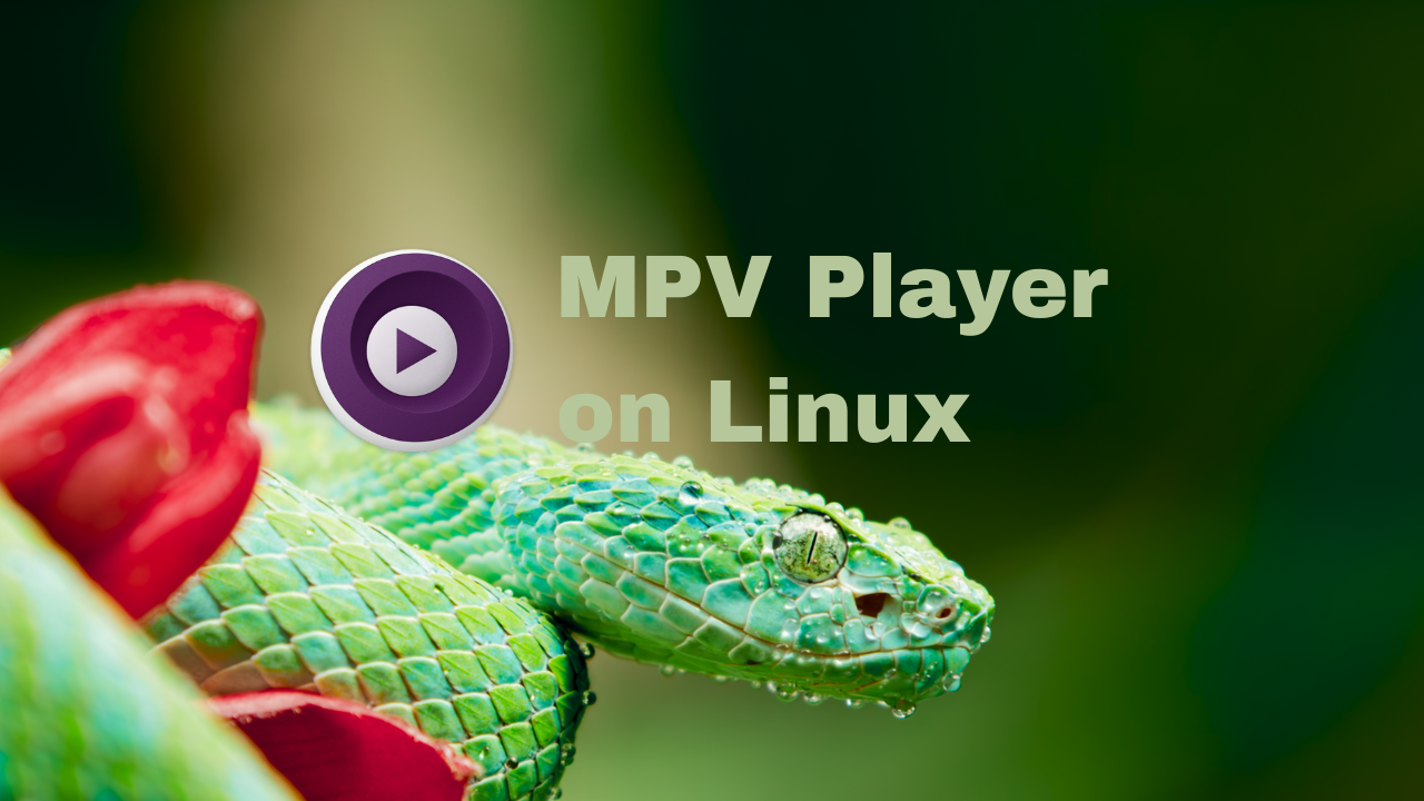 MPV Player Review: ভিএলসির বাইরে লিনাক্সের জন্য বেস্ট একটা ভিডিও প্লেয়ার - Trickbd.com
